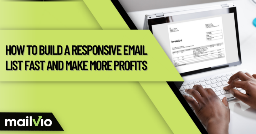 How To Build A Responsive Email List Fast And Make More Profits Mailvio