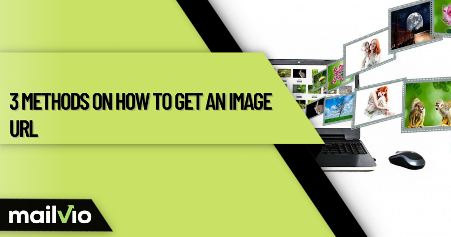 3 Methods On How To Get An Image URL Mailvio