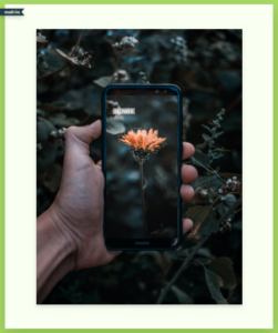 3 Methods On How To Get An Image URL - Mailvio