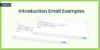 Introduction Email Examples That Will Get You Responses - Mailvio