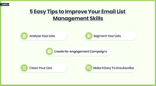Develop Your Email List Management Skills In A Flash - Mailvio